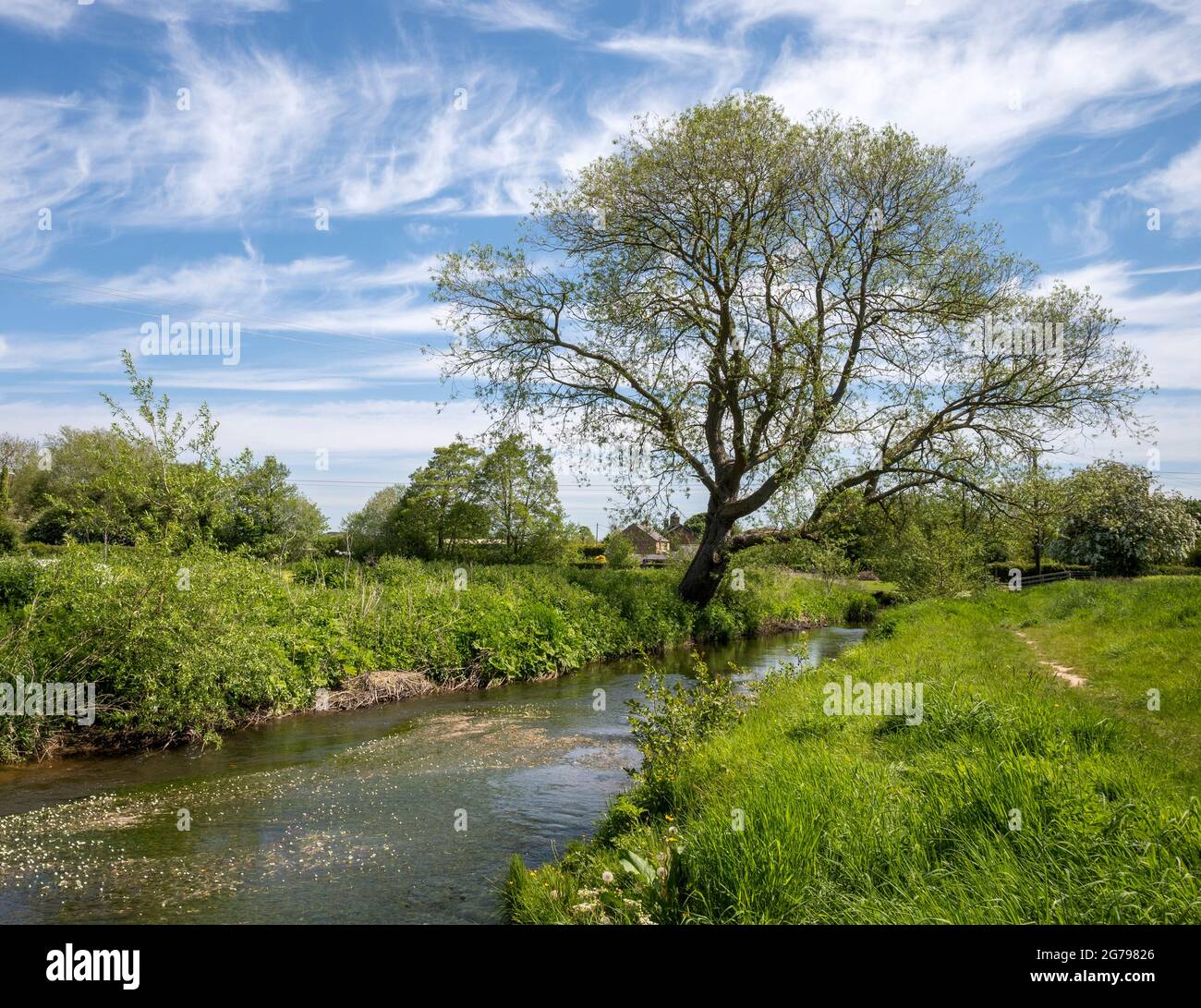 Pickering beck hi-res stock photography and images - Alamy