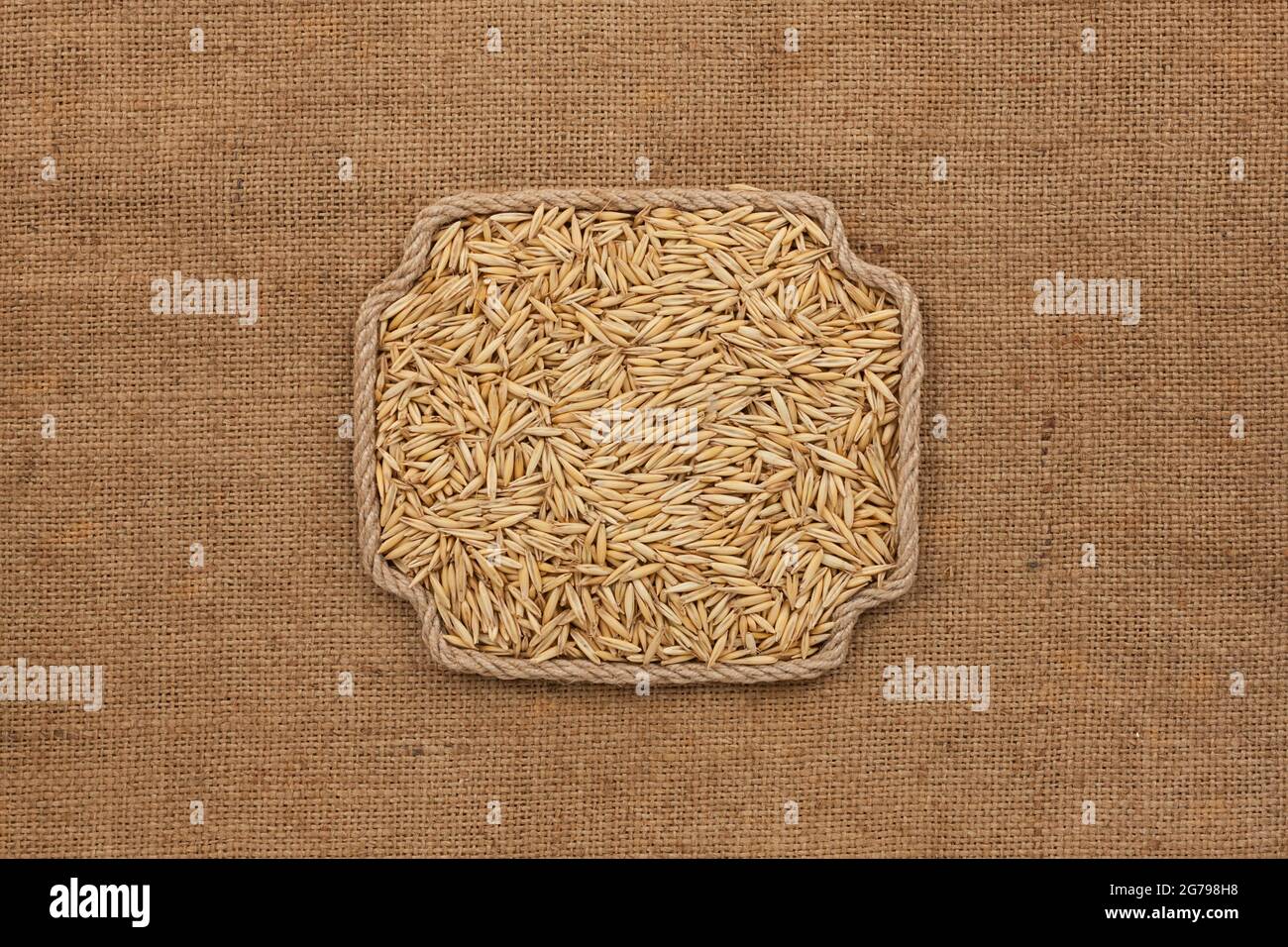 Frame made of rope with a whole, ripe oat grain. With space for design ...