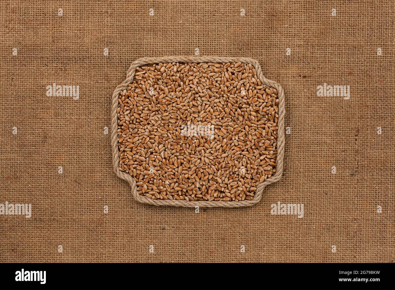 Frame made of rope with a whole, ripe wheat grain. With space for ...