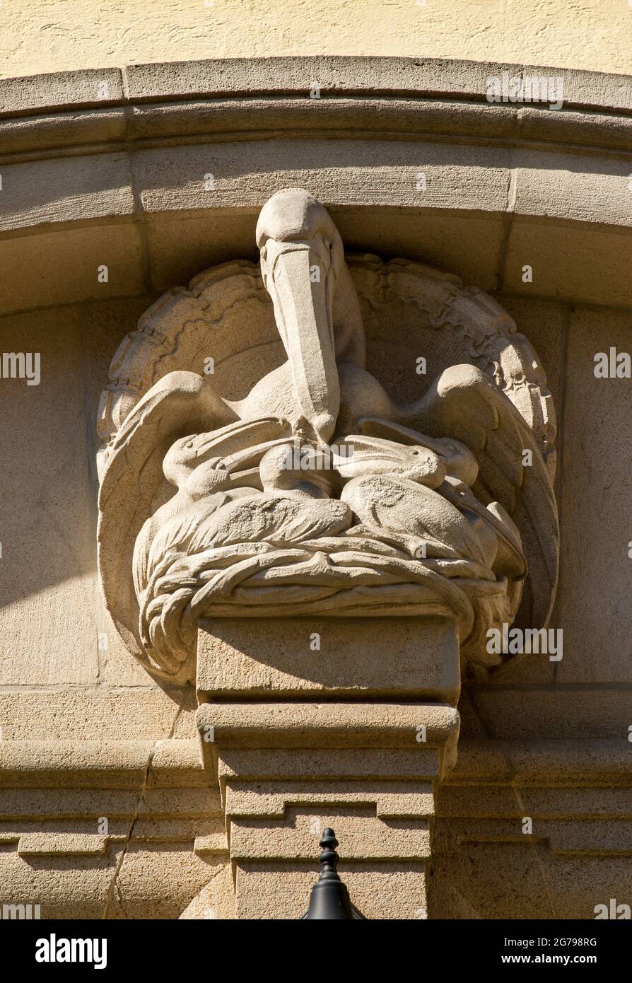 Pelican feeding the young iconography hi-res stock photography and ...