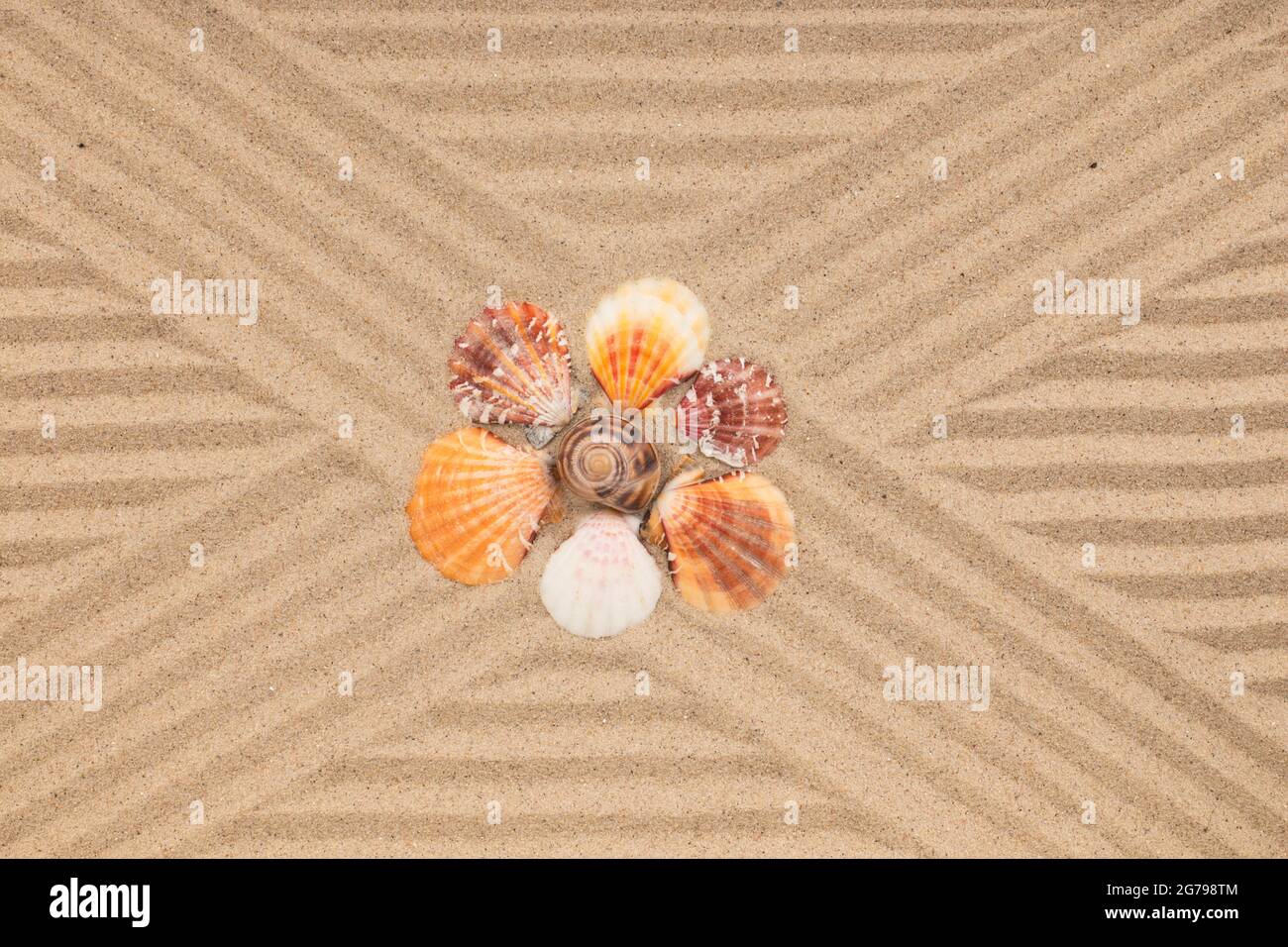 Seashells lying on lines made of sand. Beach background. Top view Stock ...