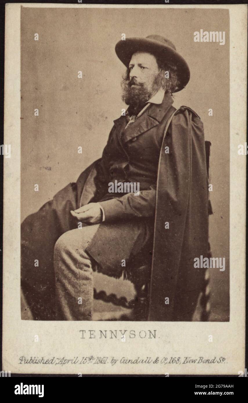 Portrait of Alfred, Lord Tennyson (1809-1892). Museum: PRIVATE COLLECTION. Author: ANONYMOUS ...