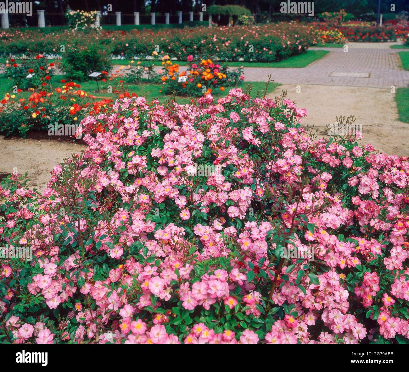JARDINES DE LA ROSALEDA. Location: PARQUE DEL OESTE. MADRID. SPAIN ...