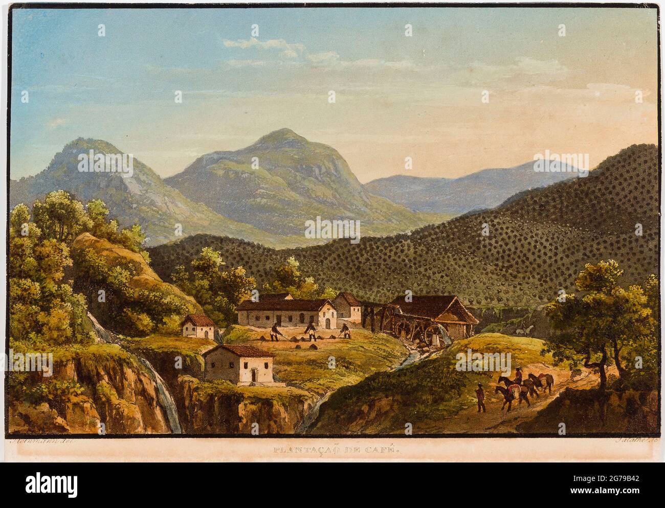 Coffee plantation. Museum: Pinacoteca do Estado de Sao Paulo. Author ...