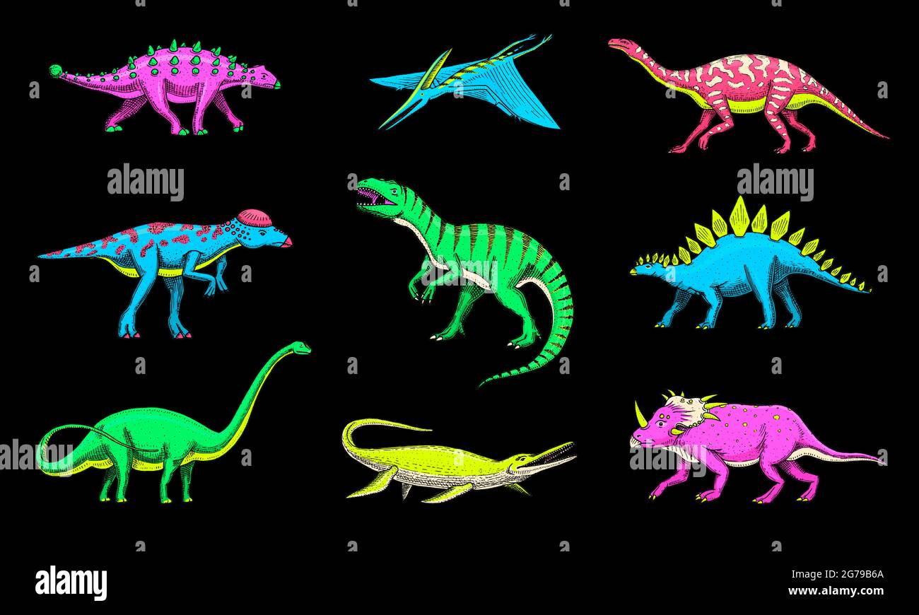 Dinosaurs set, Tyrannosaurus rex, Triceratops, Barosaurus, Diplodocus ...
