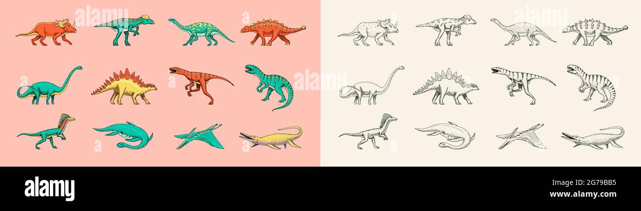 Dinosaurs set, Tyrannosaurus rex, Triceratops, Barosaurus, Diplodocus ...