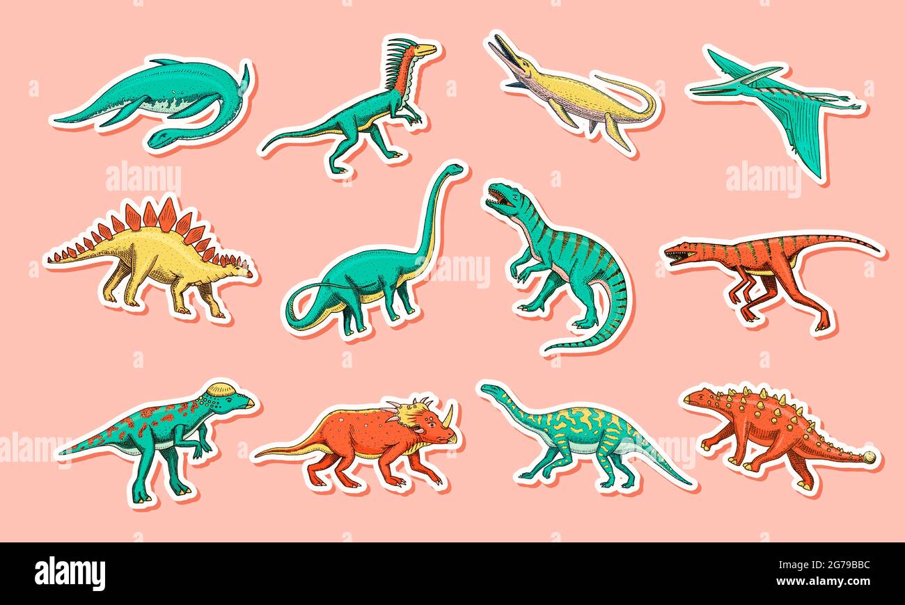 Dinosaurs set, Tyrannosaurus rex, Triceratops, Barosaurus, Diplodocus ...