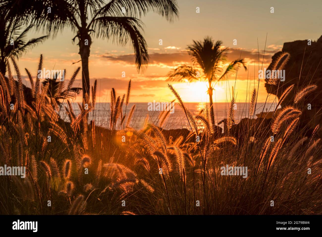Beautiful sunset with trees hi-res stock photography and images - Alamy