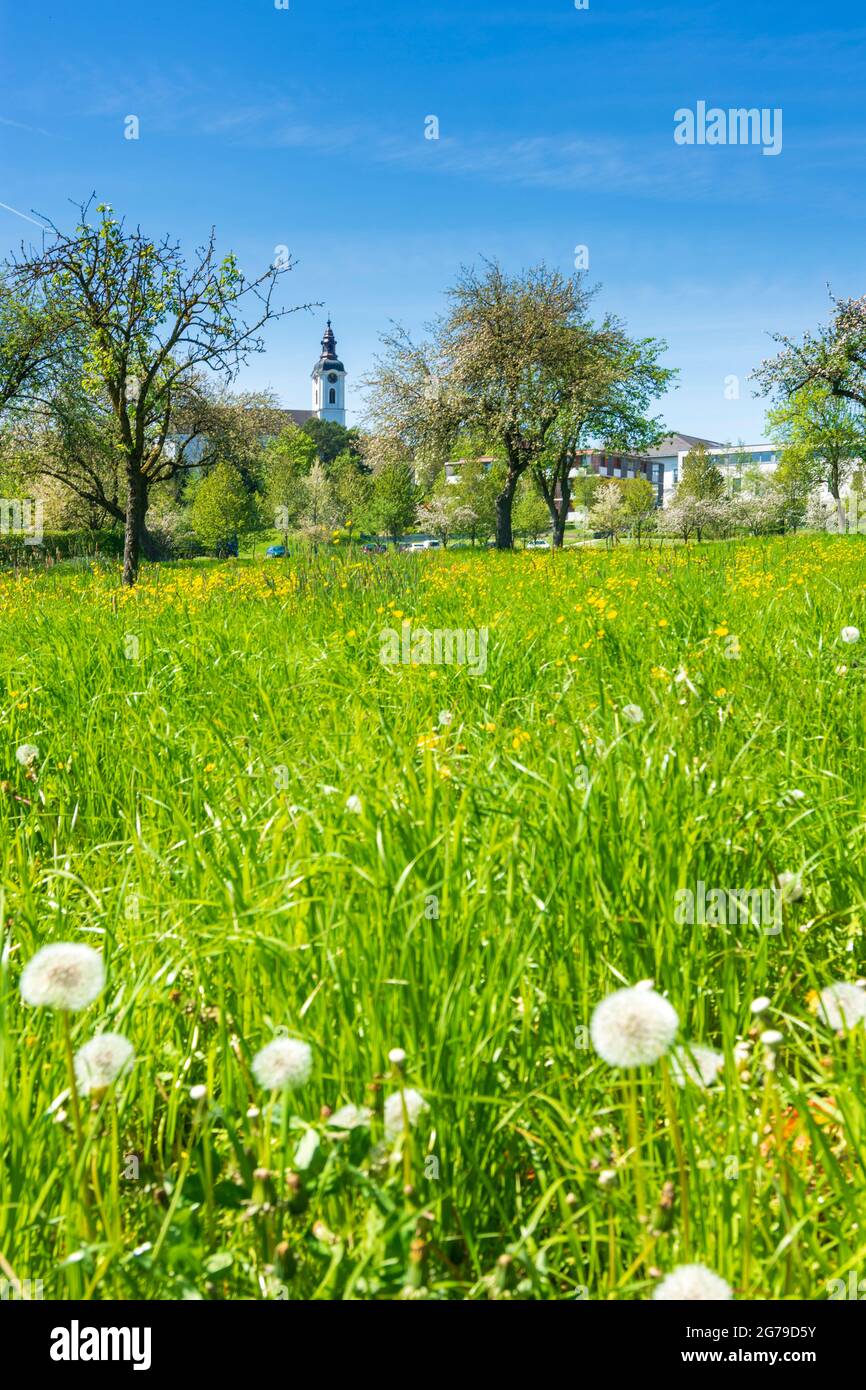 Church ohling hi-res stock photography and images - Alamy