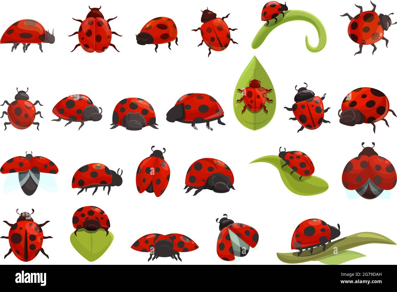 Insect ladybird icons set cartoon vector. Fly kids insect. Adorable ...