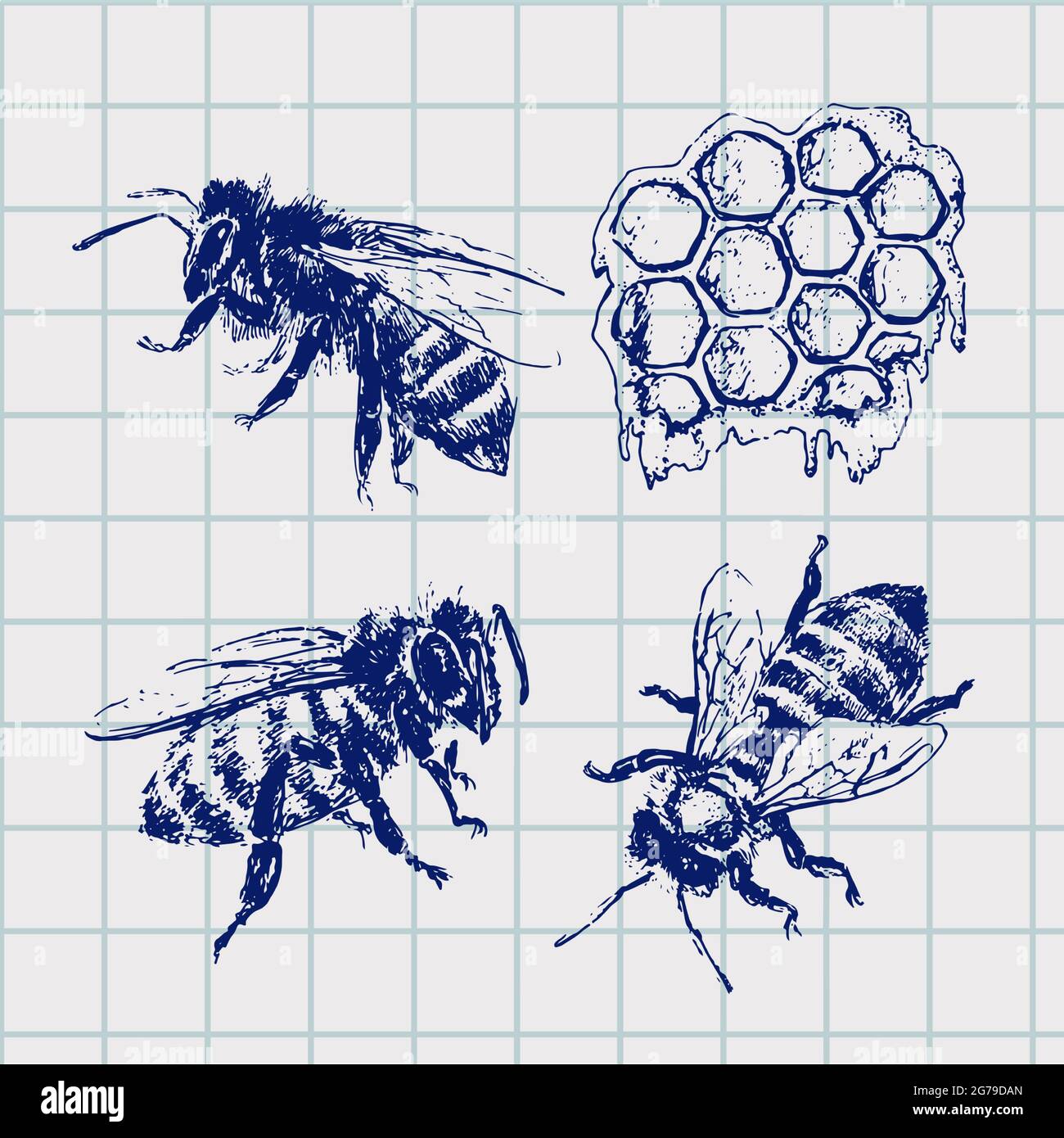 Hand drawn bee hi-res stock photography and images - Alamy