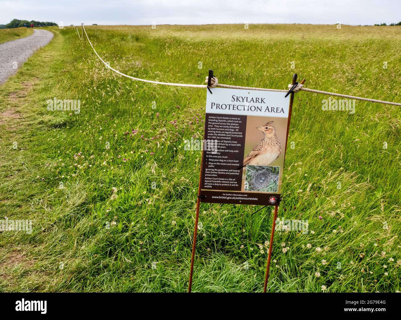 Nesting birds warning sign hi-res stock photography and images - Alamy
