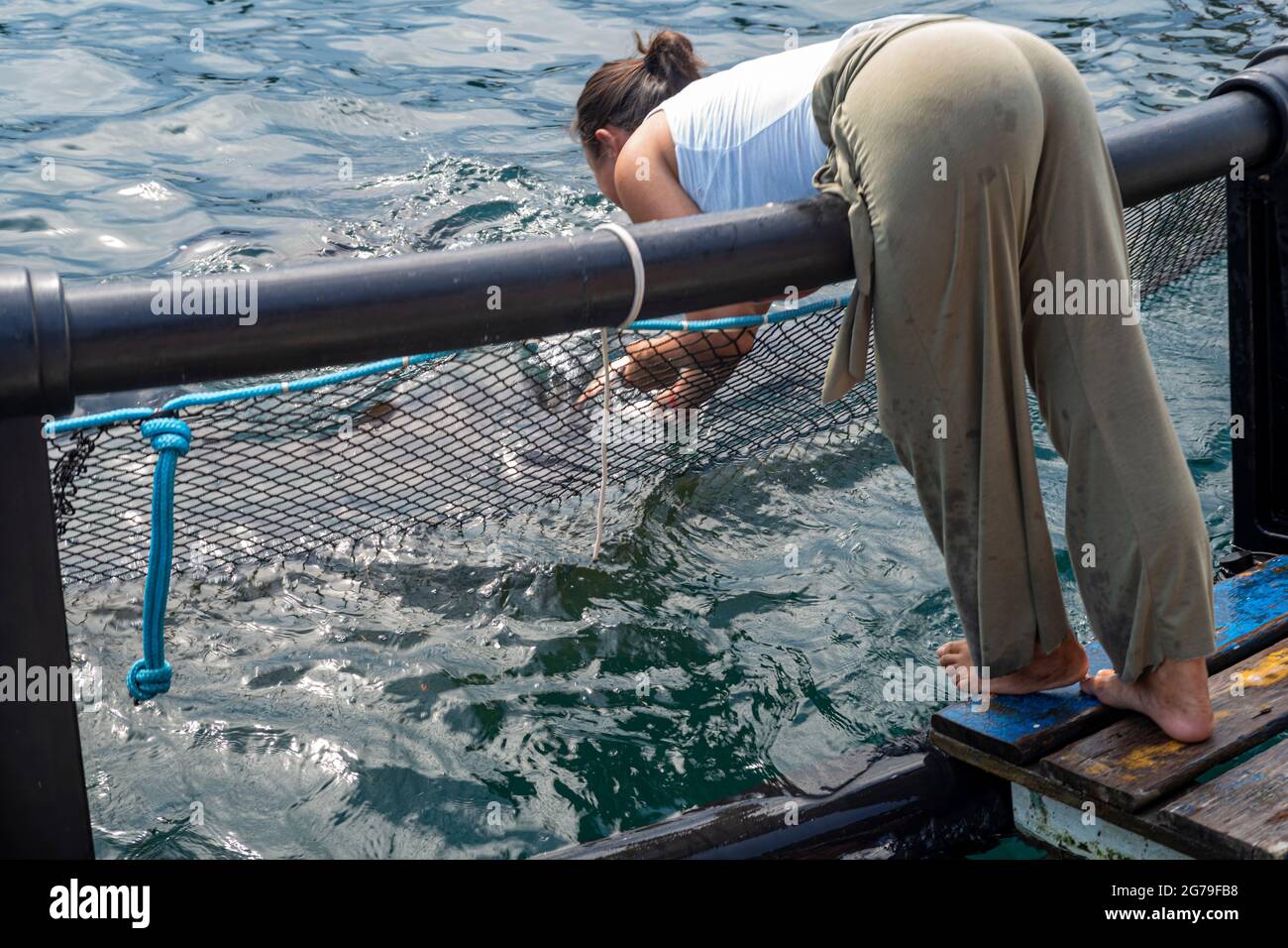 Brazil farm city hi-res stock photography and images - Alamy