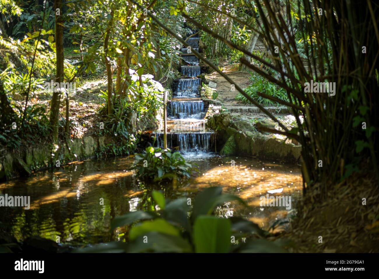 The Rio de Janeiro Botanical Garden or Jardim Botânico is located at ...