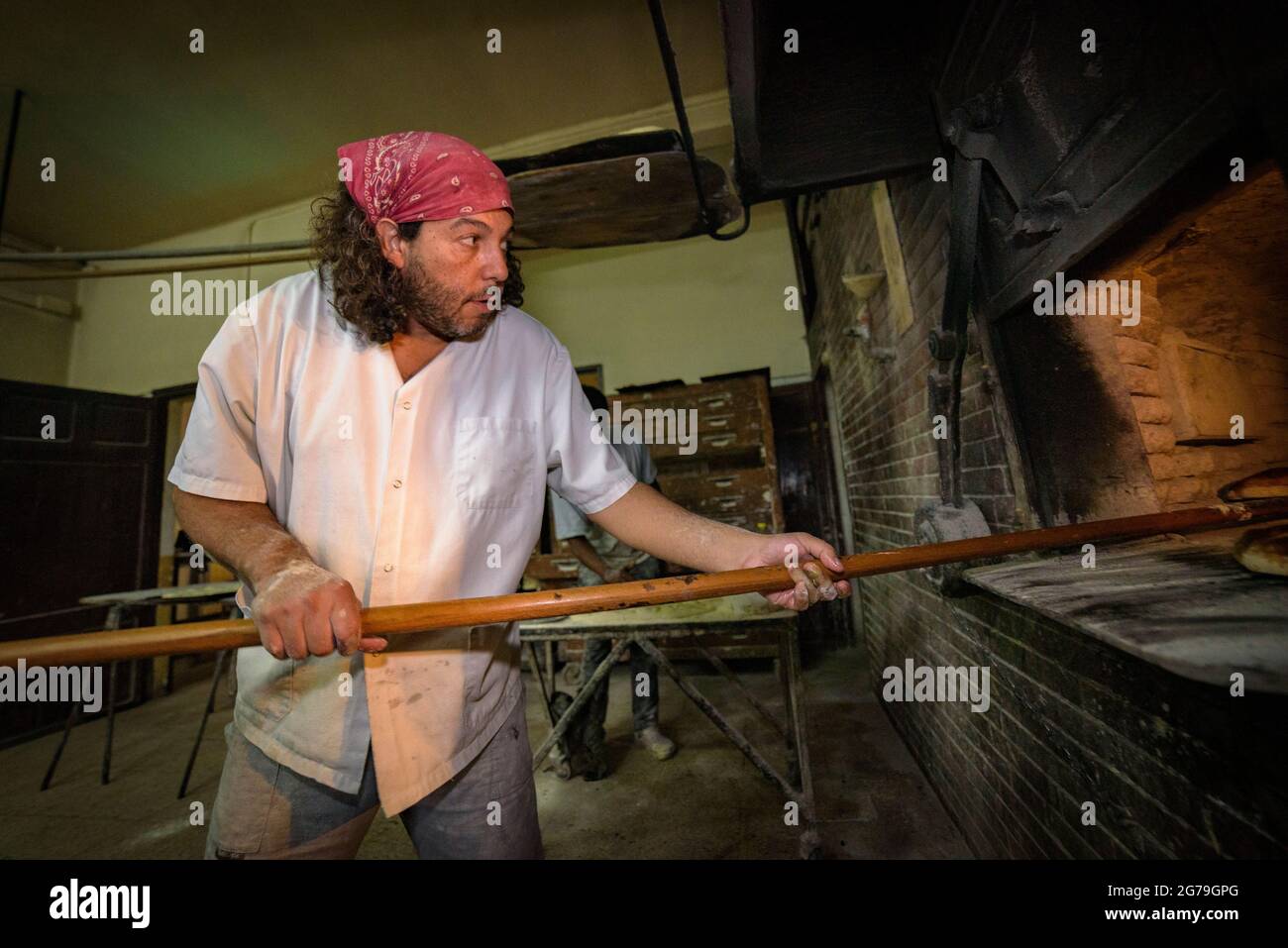 Brioches de boulangerie hi-res stock photography and images - Alamy