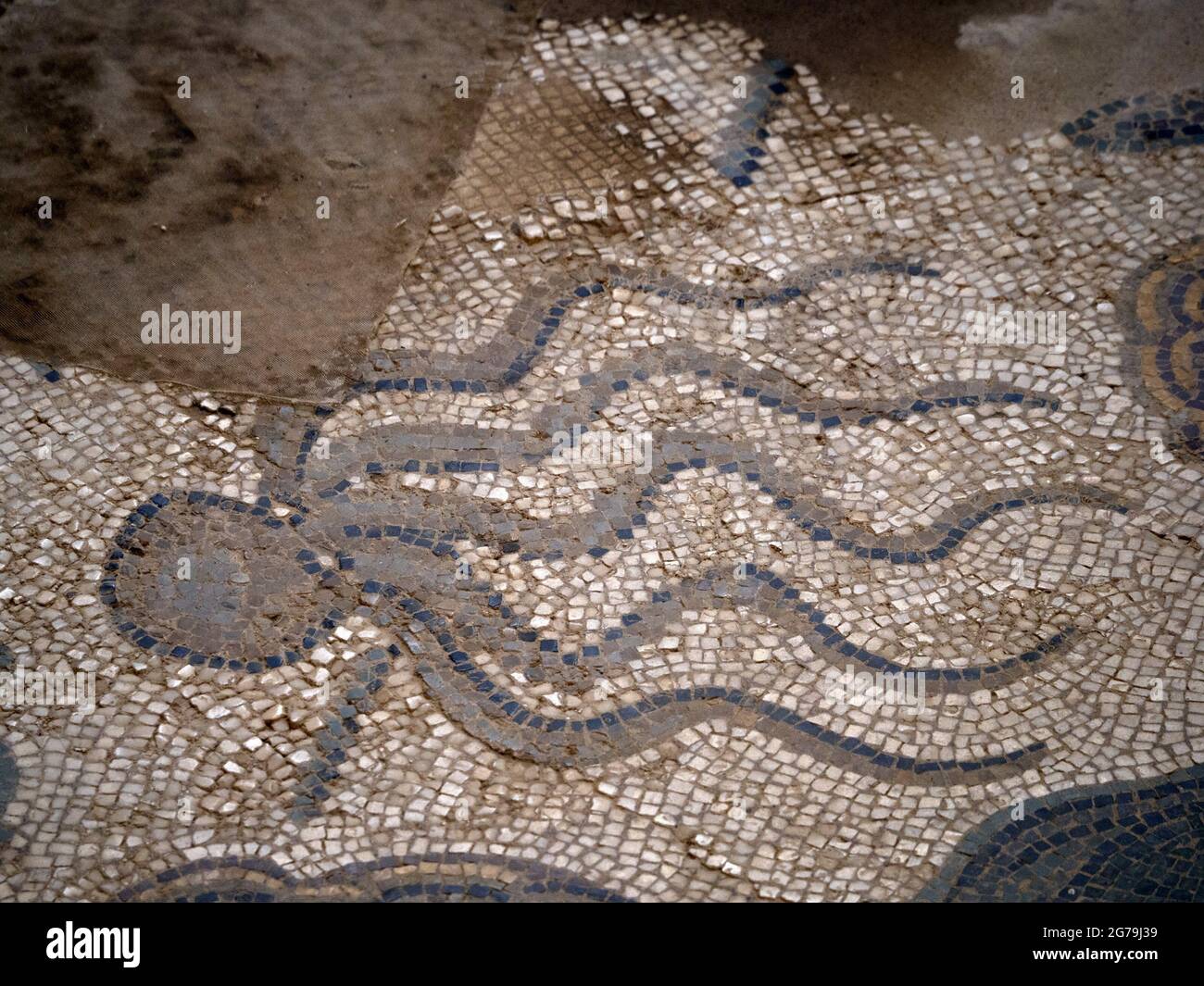 octopus at Ancient Roman mosaic of Villa del Casale, Sicily, Italy ...