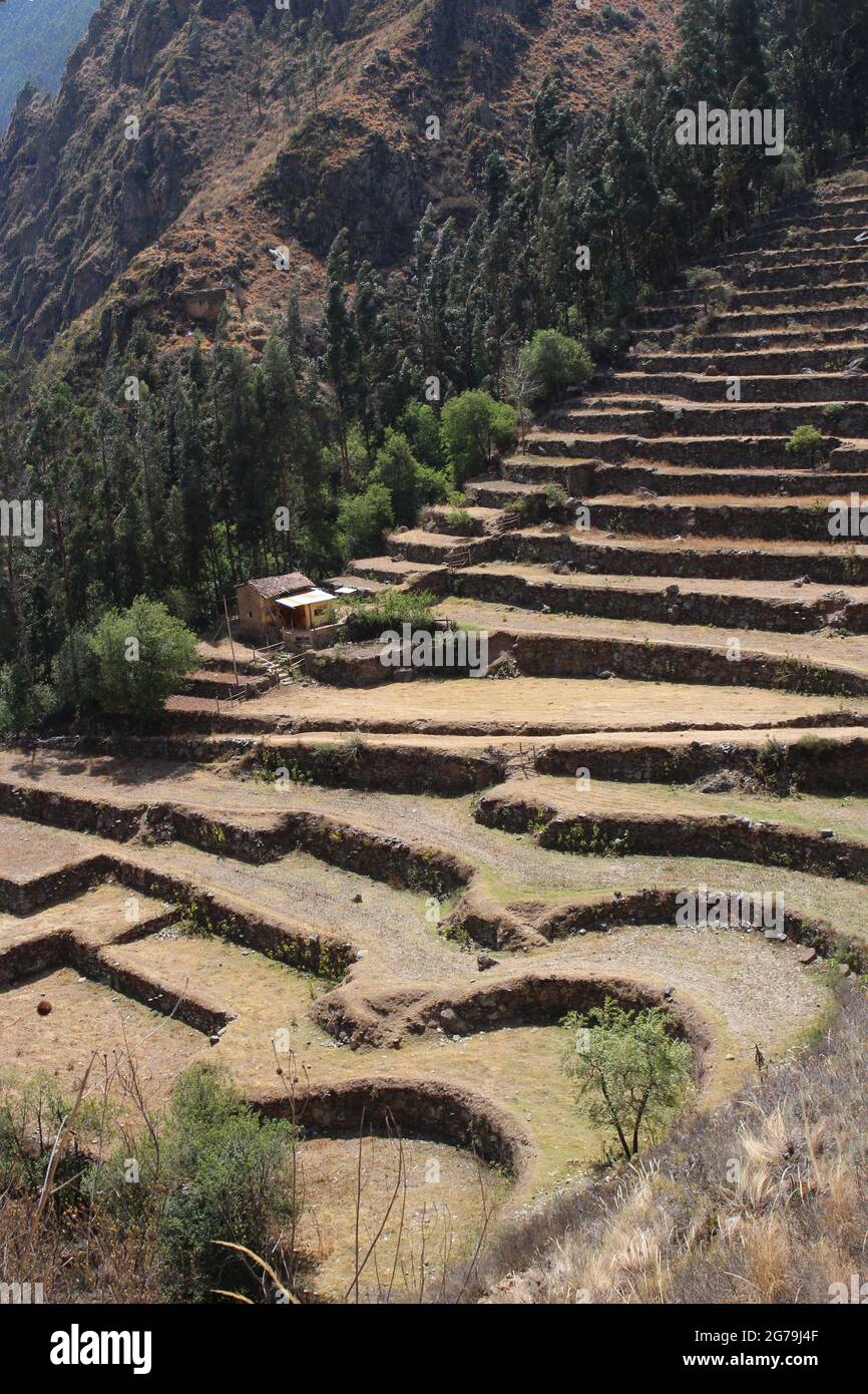 Terrace Farming Andes