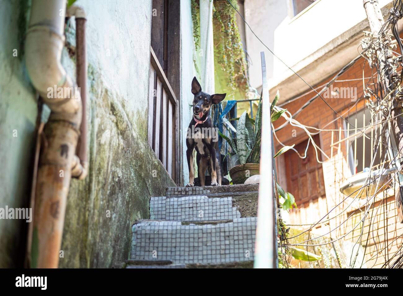 Inside the Favela Villa Canoas in Rio de Janeiro, Brazil Stock Photo ...