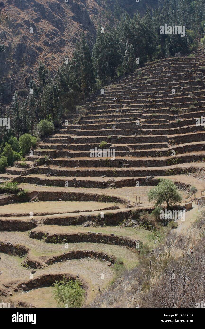 Terrace Farming Andes