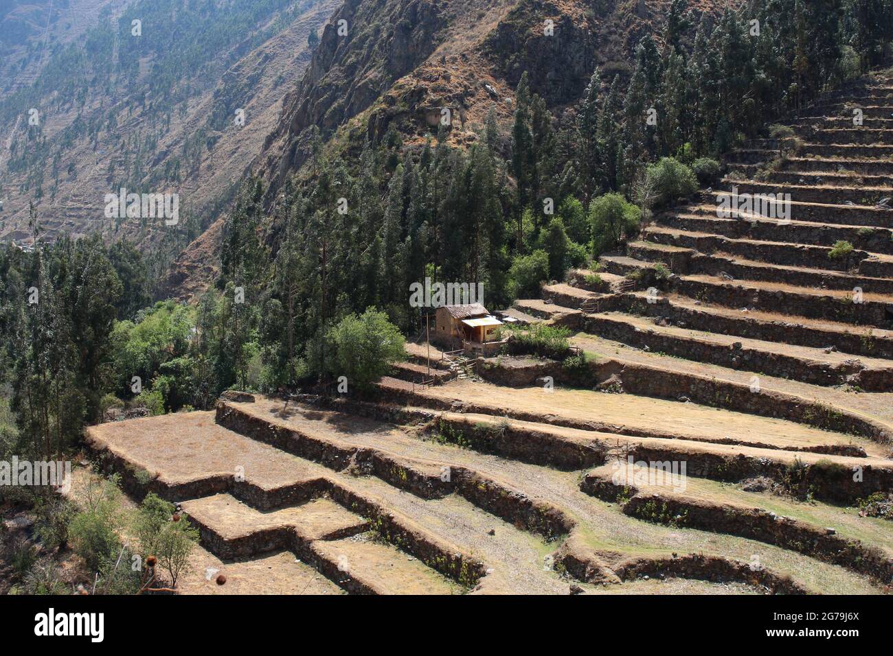 Terrace Farming Andes