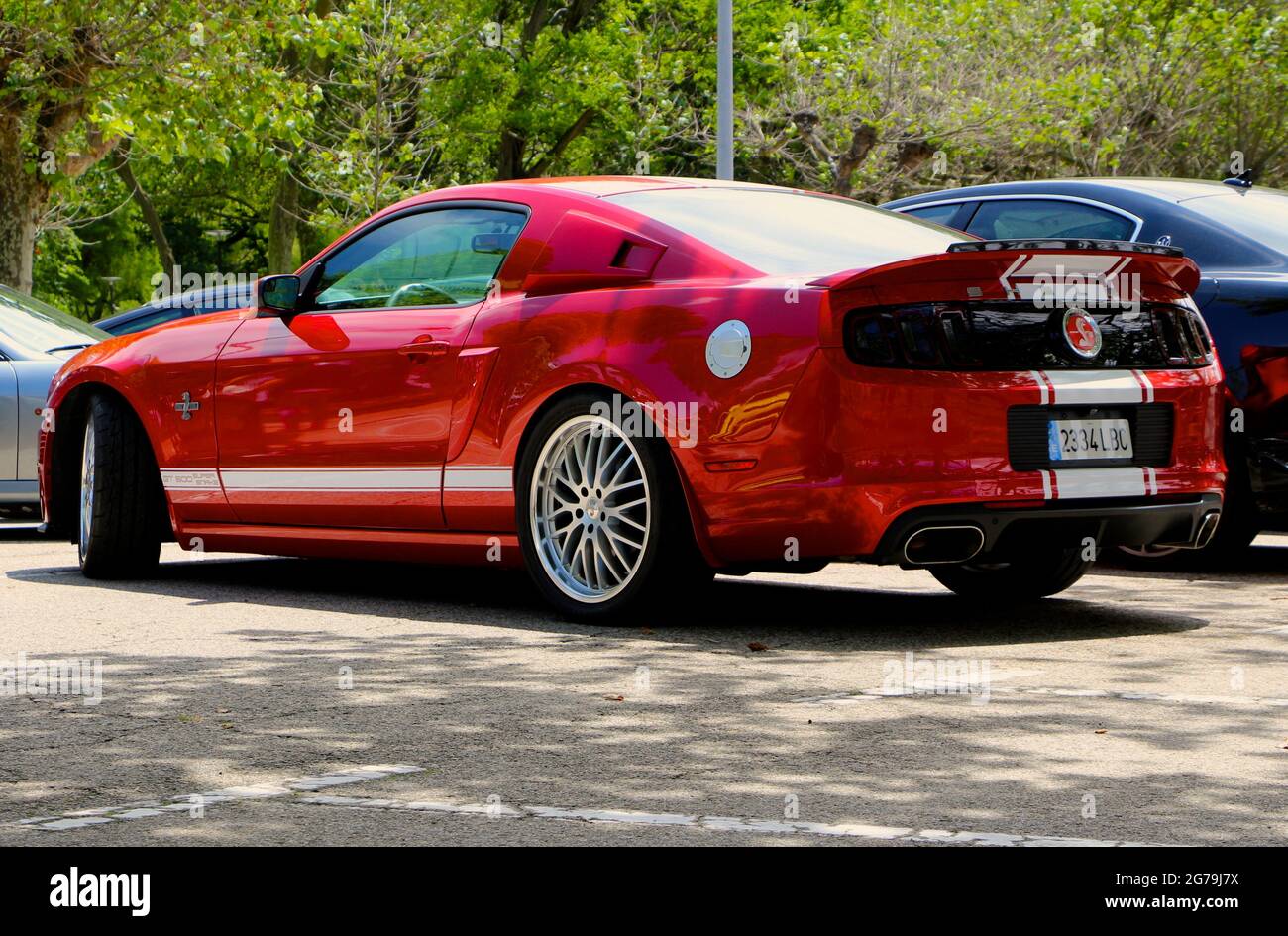 Shelby Mustang Rear View