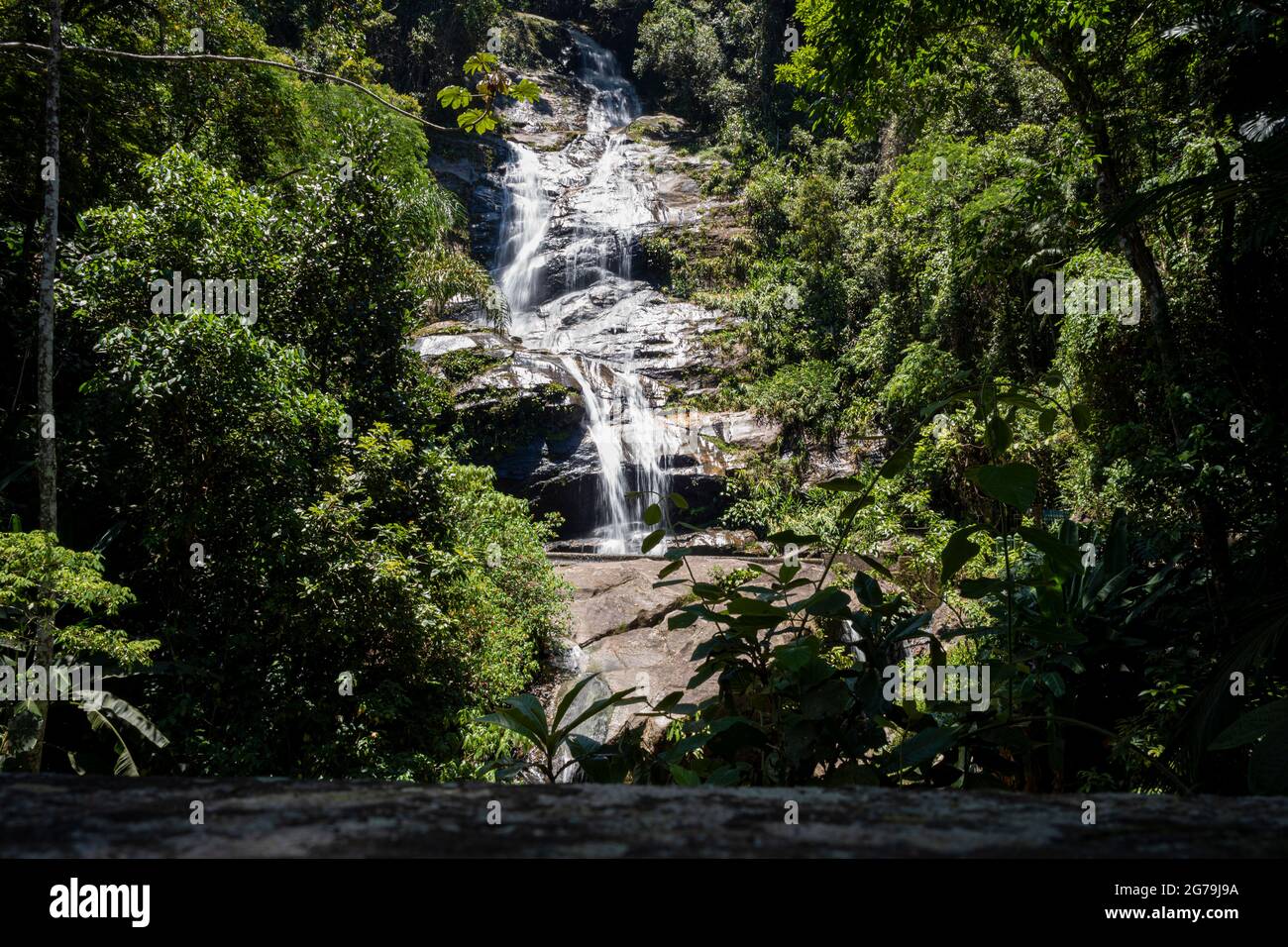 Tijuca forest national park in alto da boa vista hi-res stock ...