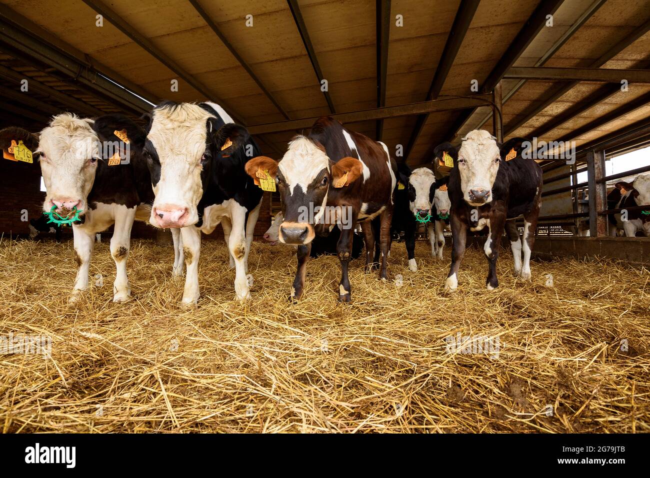 Granja de arquitectura hi-res stock photography and images - Alamy