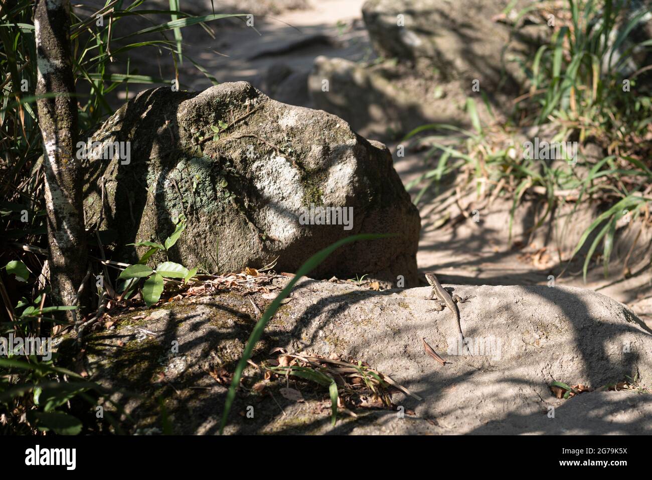 Pedra do telegrafo hi-res stock photography and images - Alamy