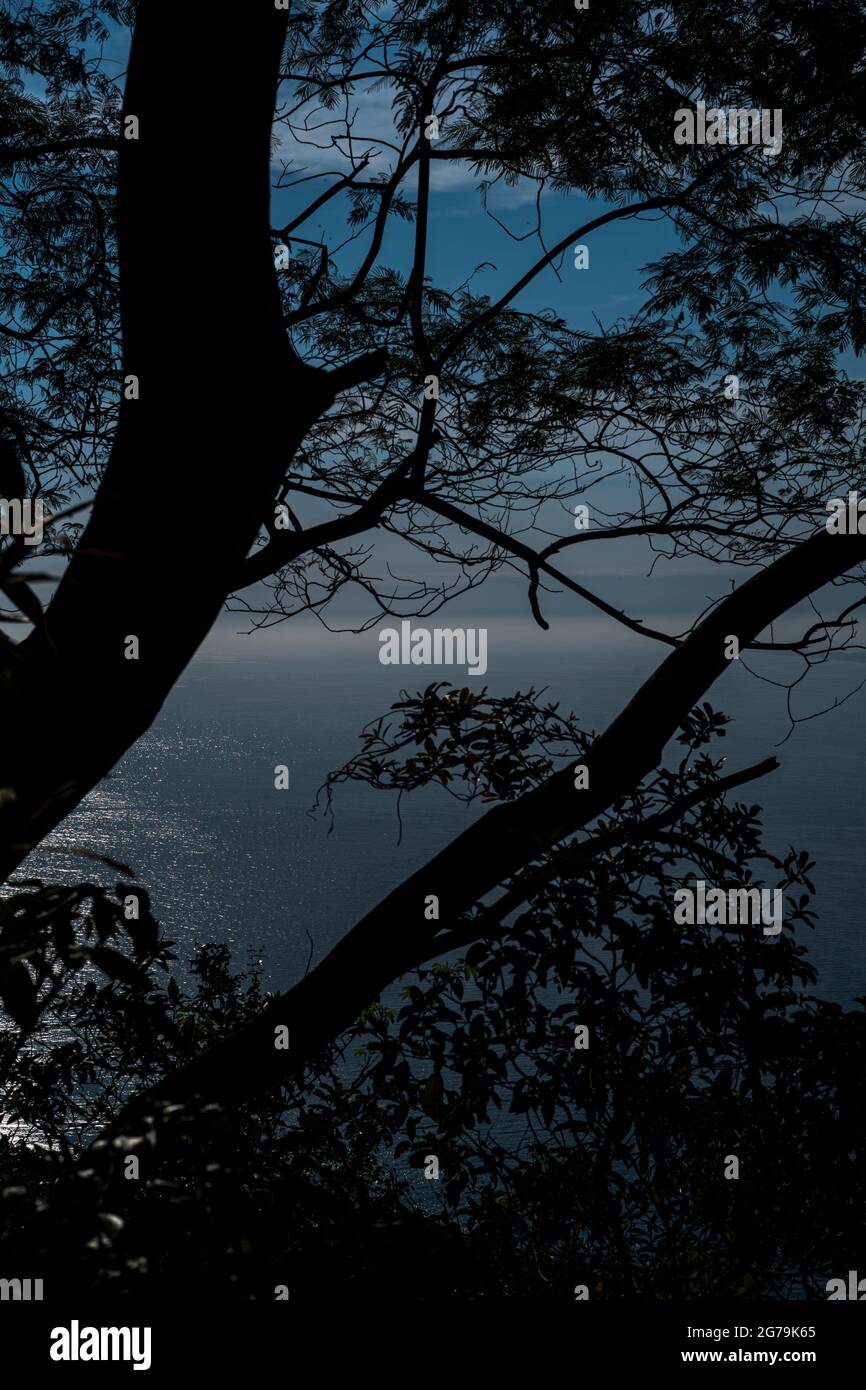 maringaia restinga seen from the top of the telegraph stone in ...