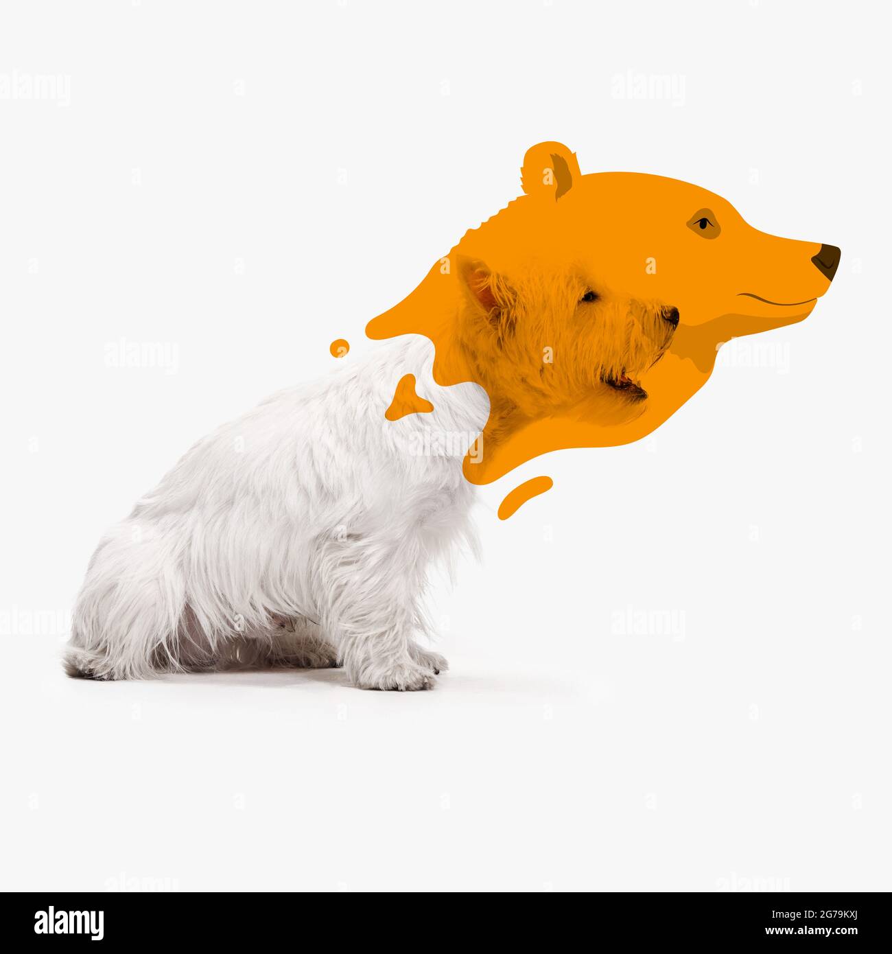 Cute funny bear dream Cut Out Stock Images & Pictures - Alamy