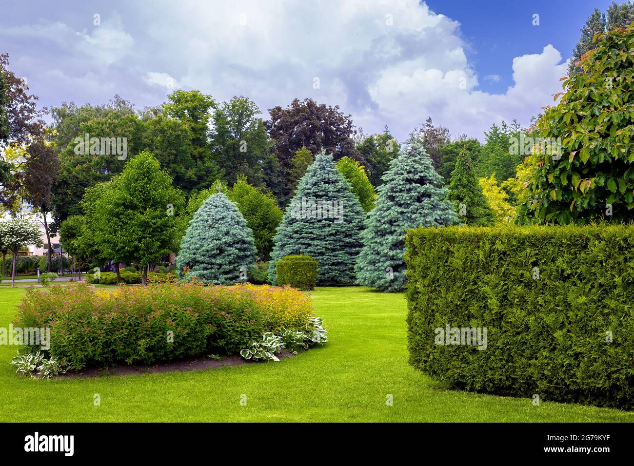 landscaping of a park with a garden bed and deciduous trees with leaves ...