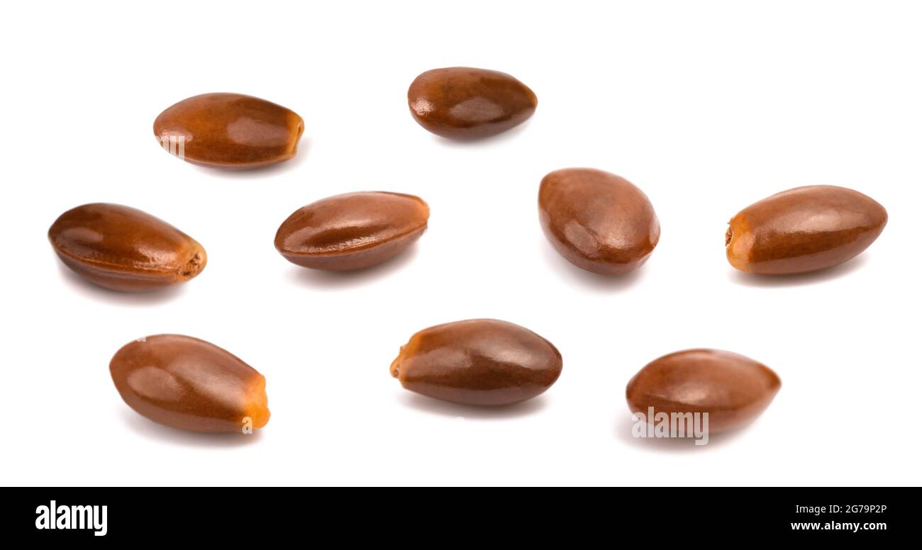Star anise seeds isolated on white background Stock Photo - Alamy