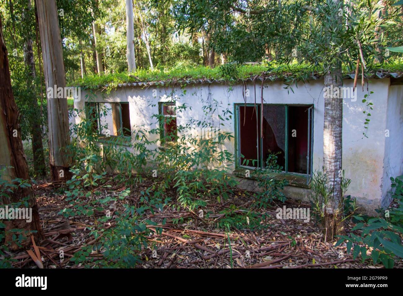Abandoned Buildings High Resolution Stock Photography and Images - Alamy
