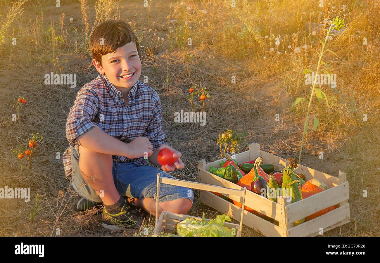 Happy little boy farmer. Harvesting. Fresh vegetable box Stock Photo ...