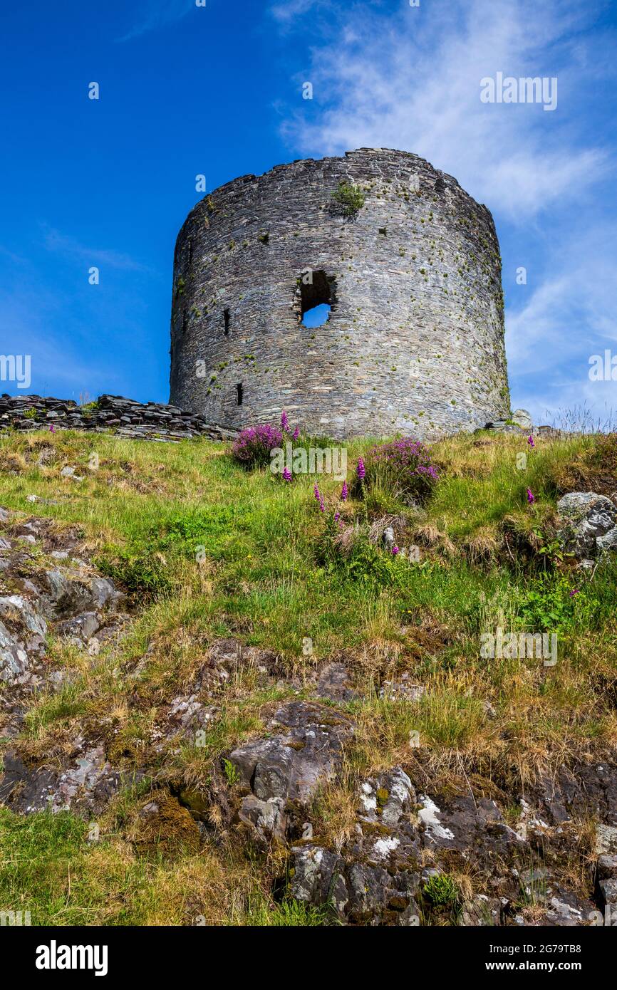 Heather castle hi-res stock photography and images - Alamy