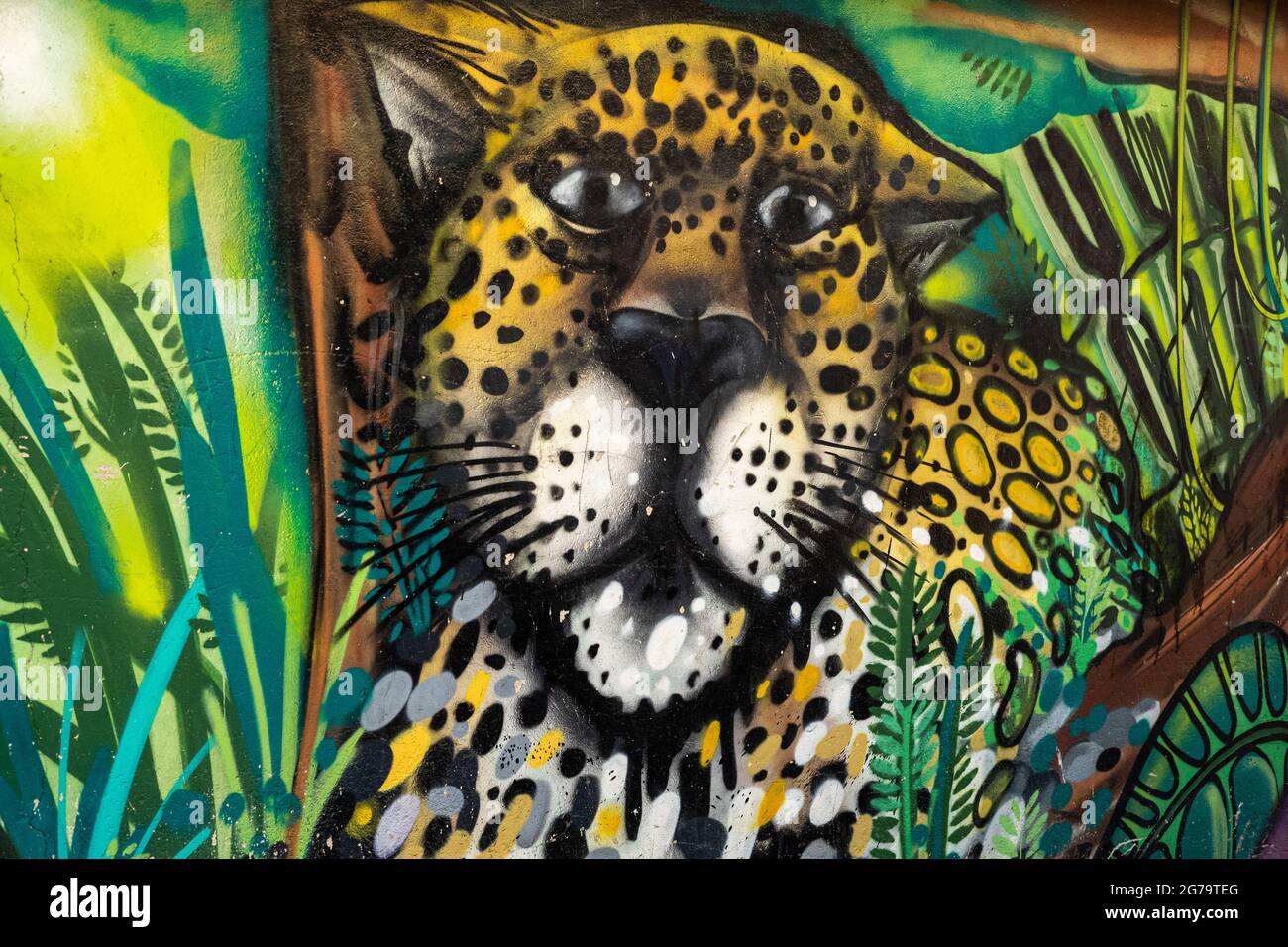 Graffiti in Rio de Janeiro Stock Photo - Alamy