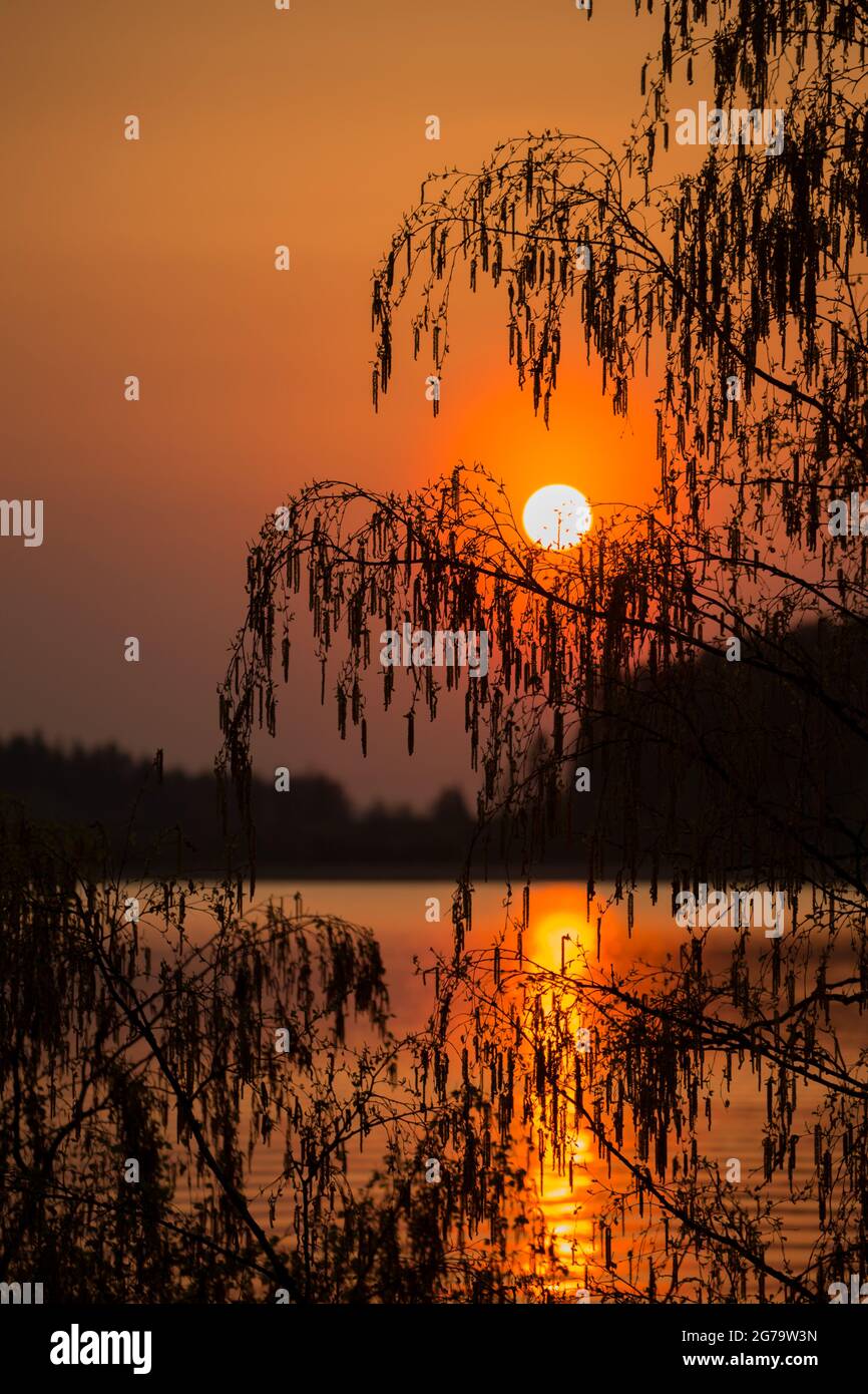 Tree reflection on lake surface hi-res stock photography and images - Alamy
