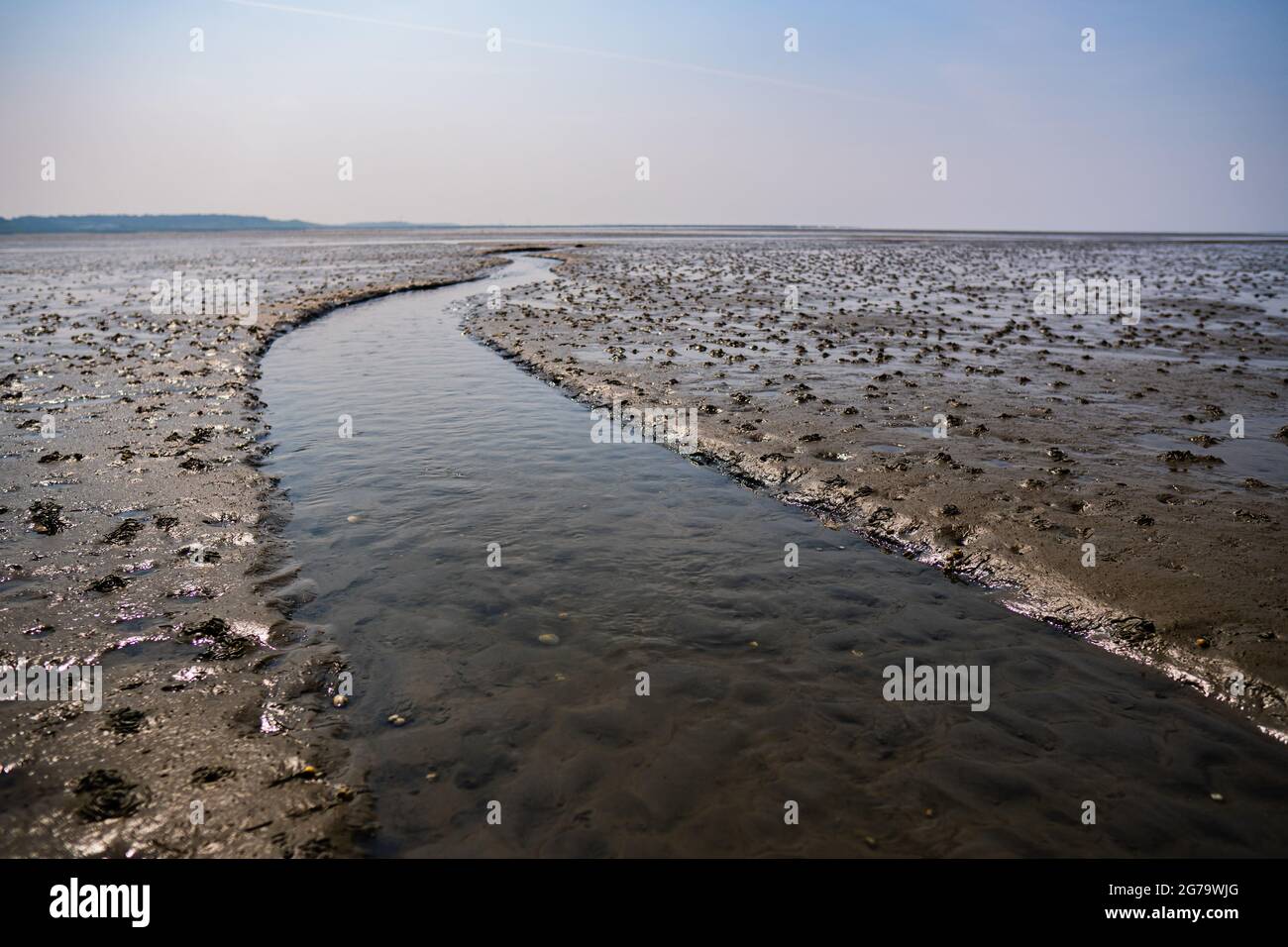 Small river floating through the mudflat of the north sea at sahlenburg ...
