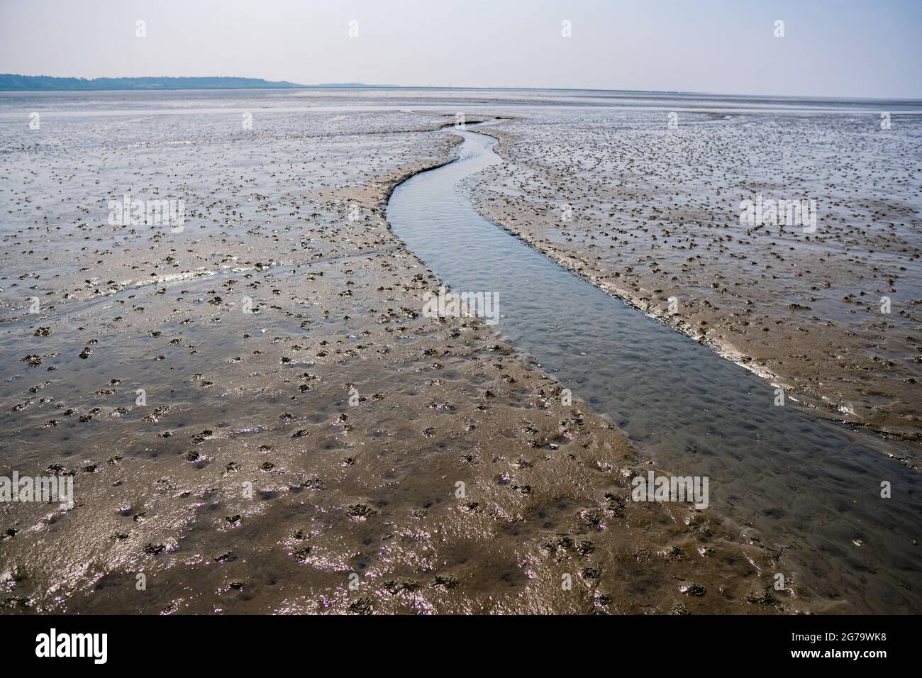 Small river floating through the mudflat of the north sea at sahlenburg ...