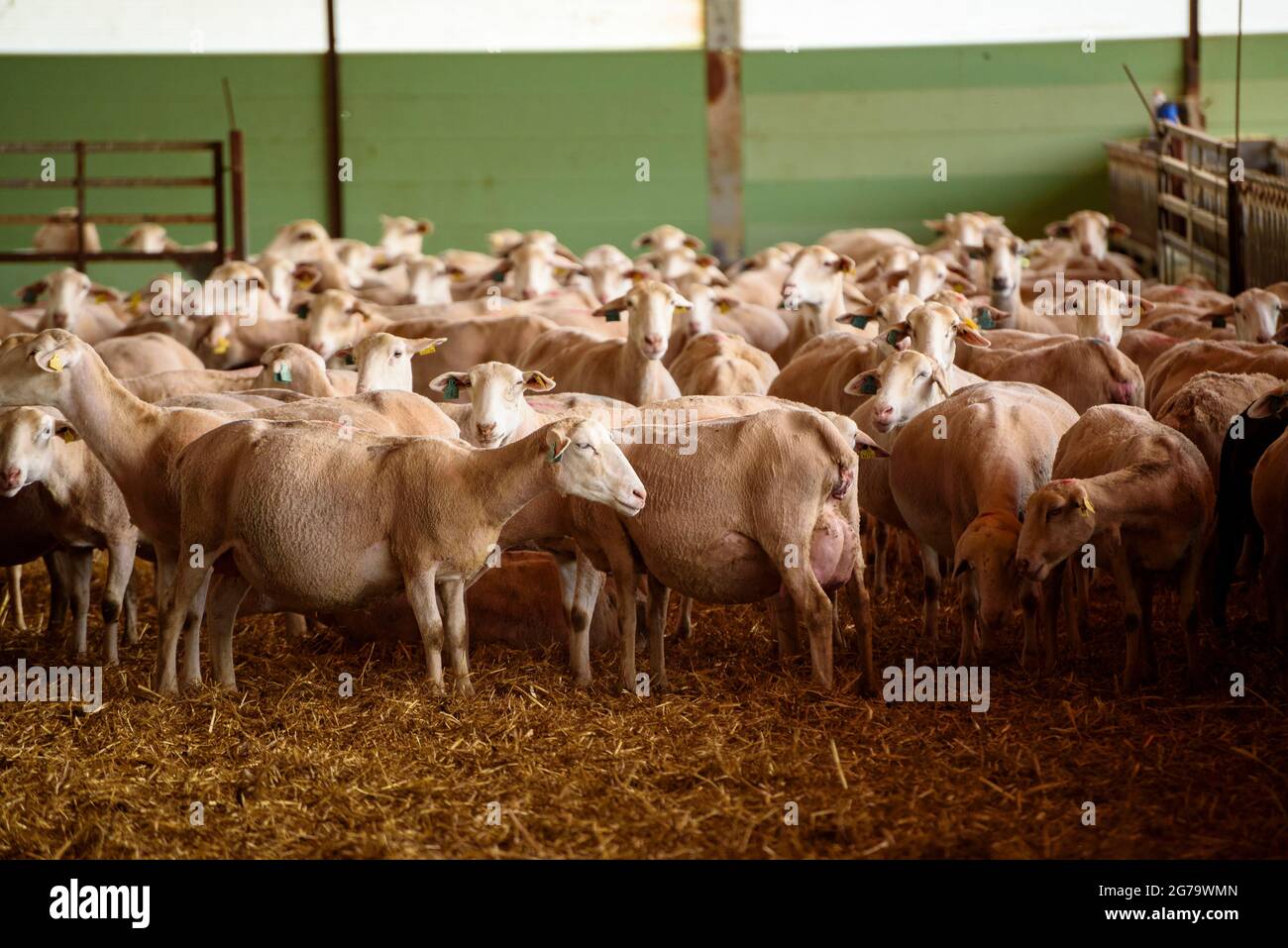 Granja de arquitectura hi-res stock photography and images - Alamy