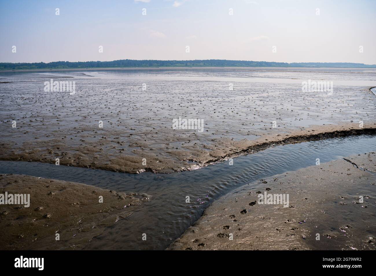 Small rivers floating through the mudflat of the north sea at ...