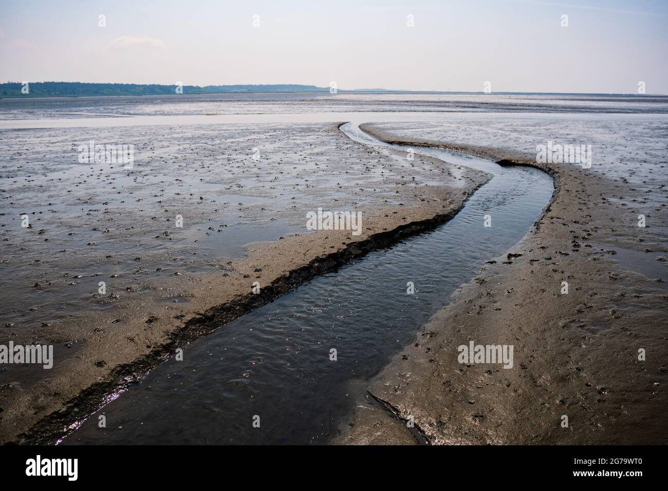 Small river floating through the mudflat of the north sea at sahlenburg ...