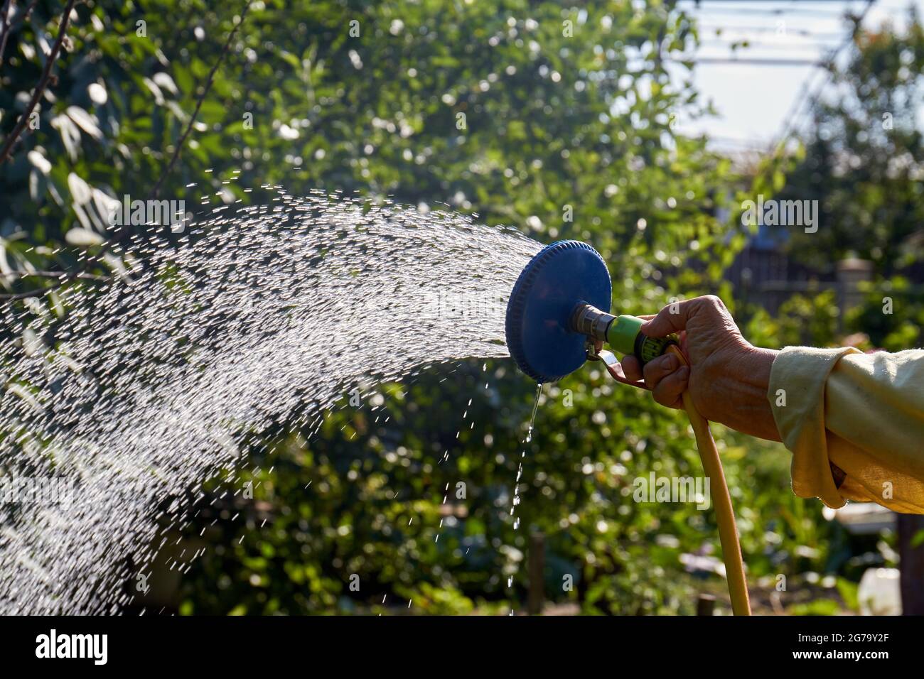 Close-up old caucasian hand holds water sprinkler Stock Photo - Alamy