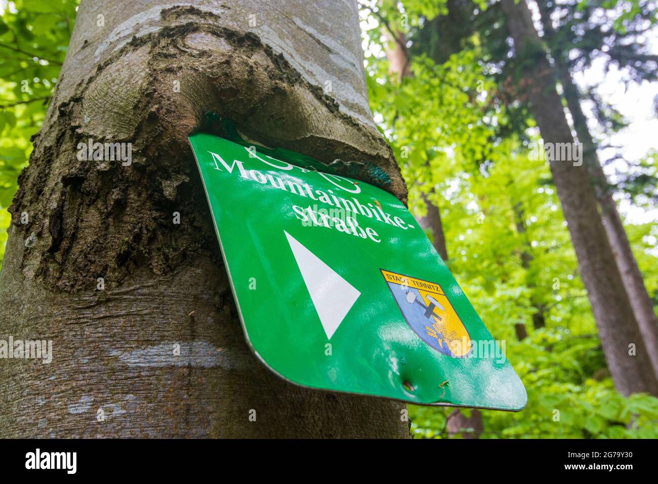 Signpost for a mountain bike path overgrown in tree hi-res stock ...