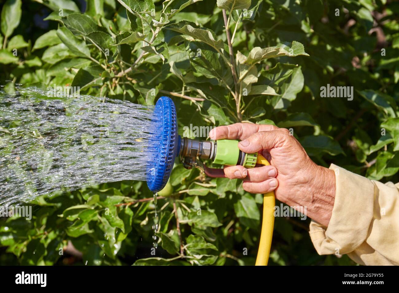 Woman hand sprayer spraying hi-res stock photography and images - Alamy