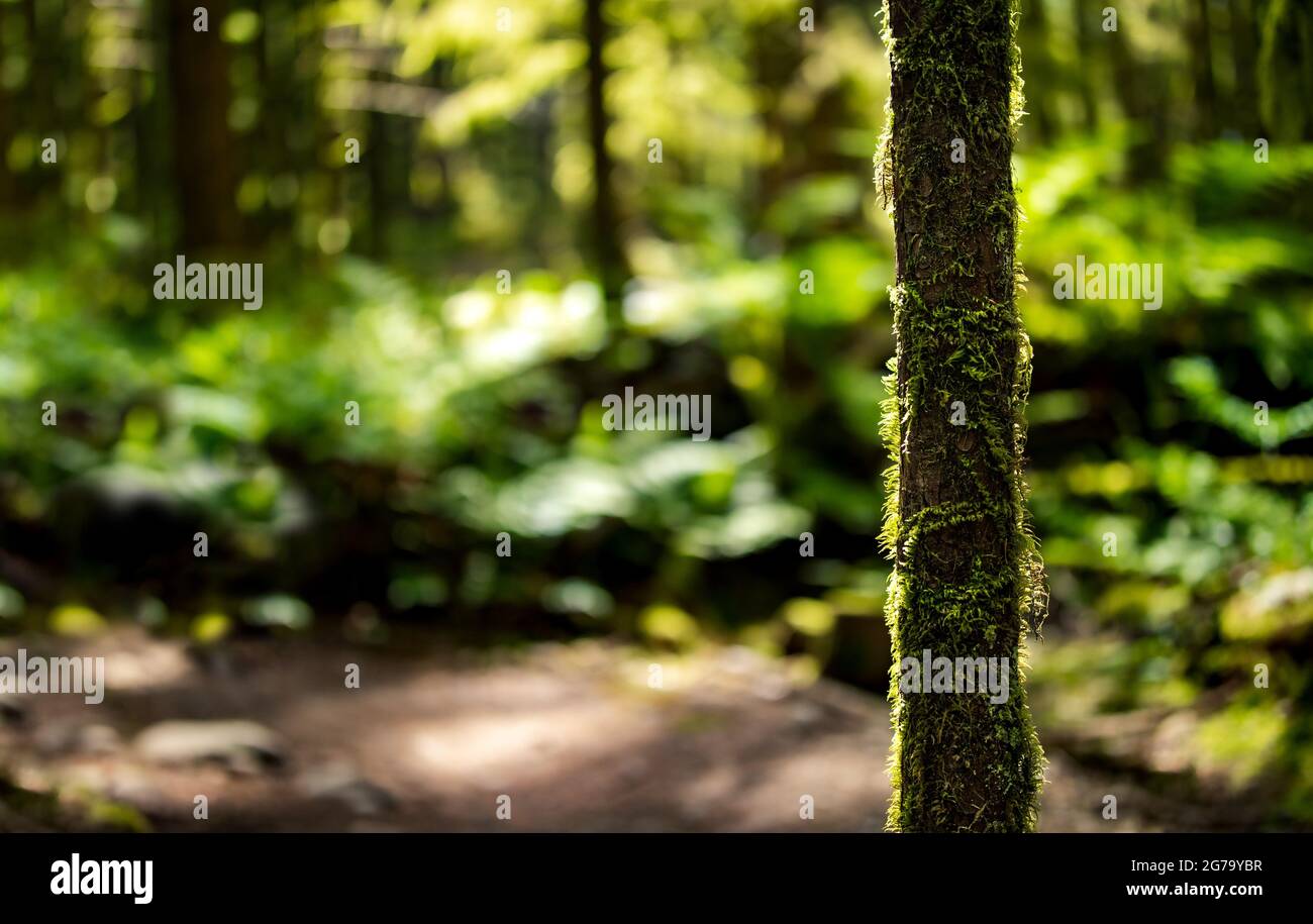 Exploring texture in nature hi-res stock photography and images - Alamy