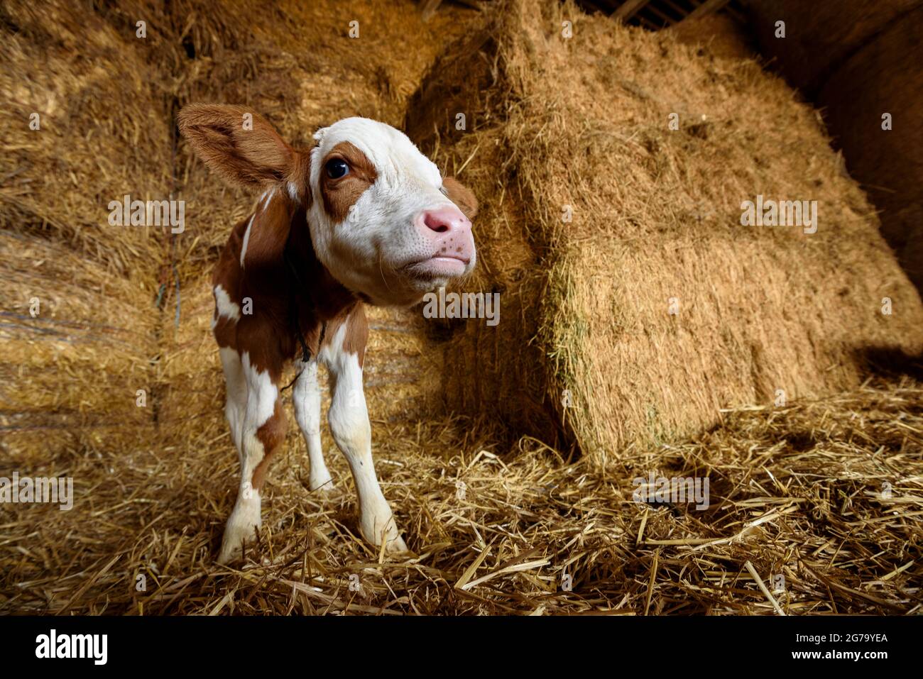 Granja de arquitectura hi-res stock photography and images - Alamy