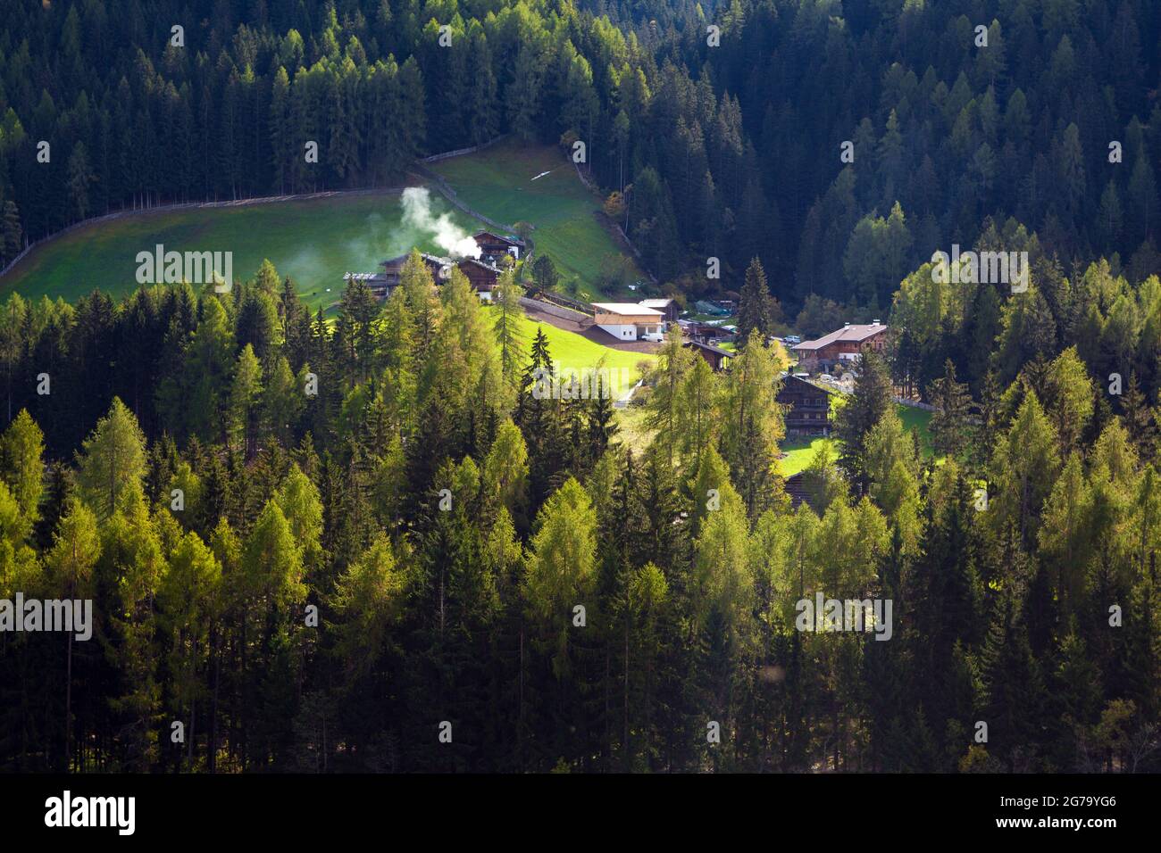 Group of farms surrounded by mountain forest in the South Tyrolean ...