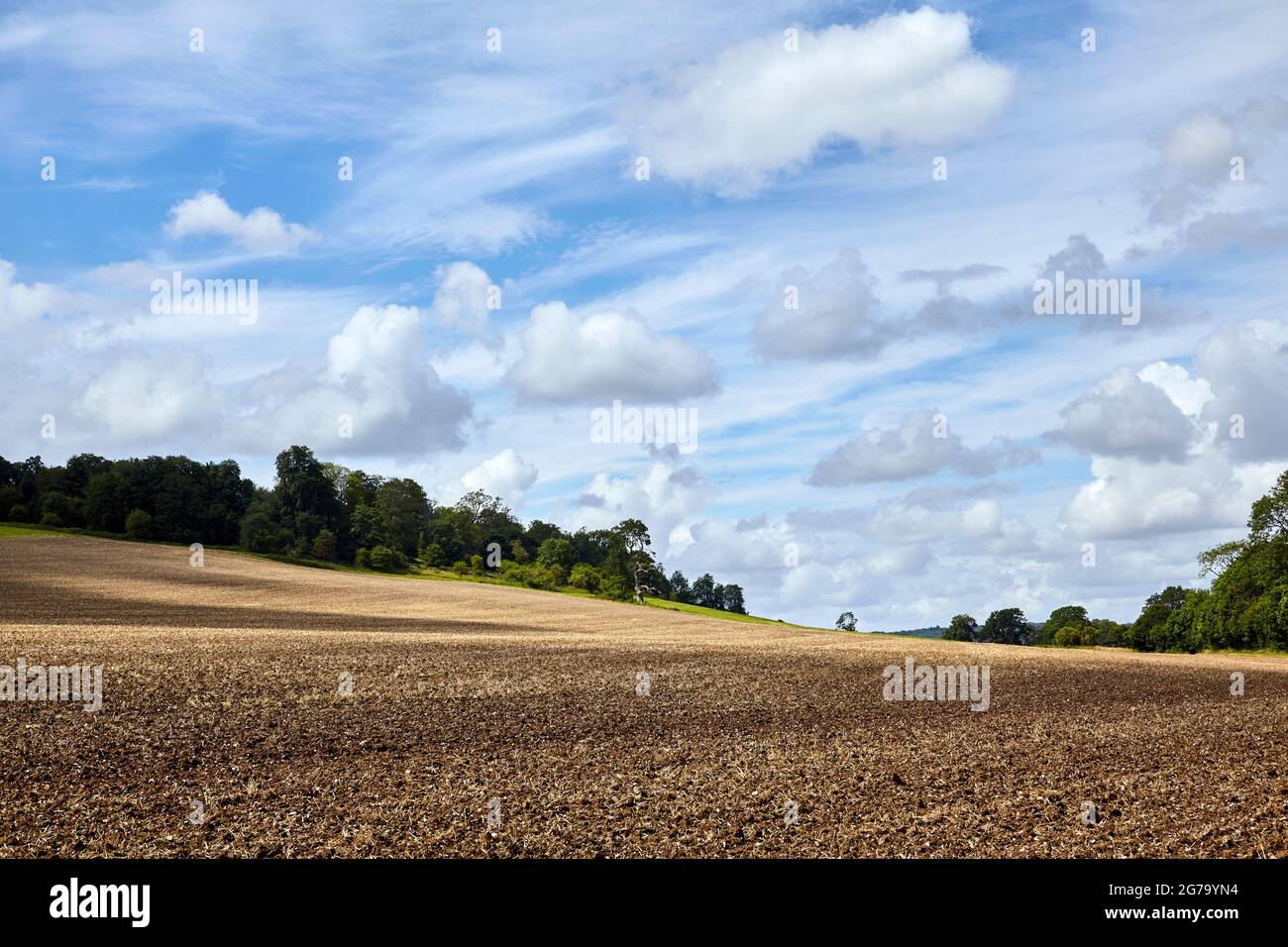 Rural view of British agricultural landscape Stock Photo - Alamy