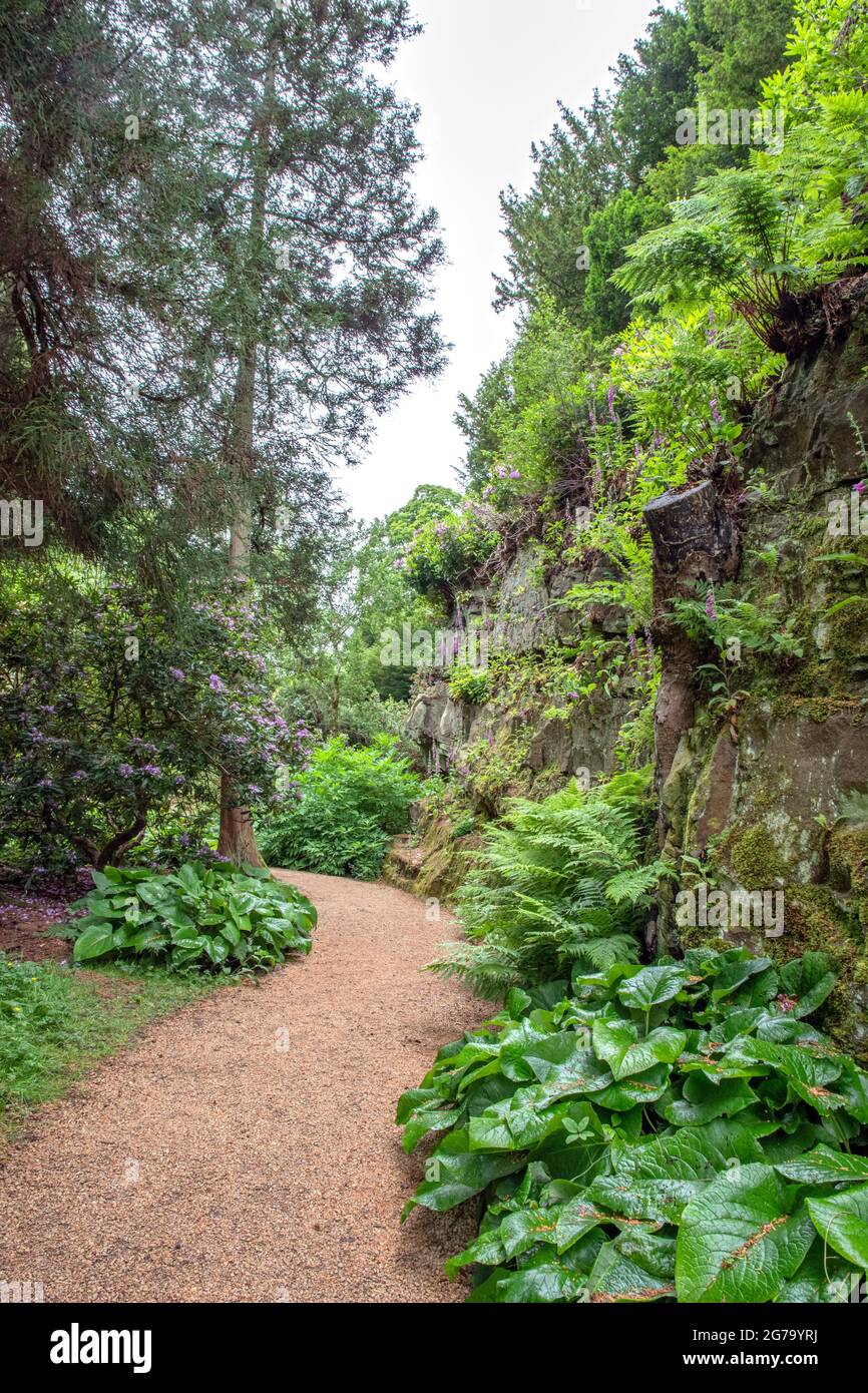 Belsay Hall Quarry Garden Stock Photo - Alamy